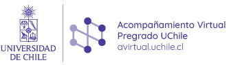 Preguntas frecuentes – Acompañamiento Virtual UChile
